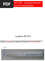 Étalement Et Coloration Du Sang May Grünwald Giemsa MGG | PDF ...