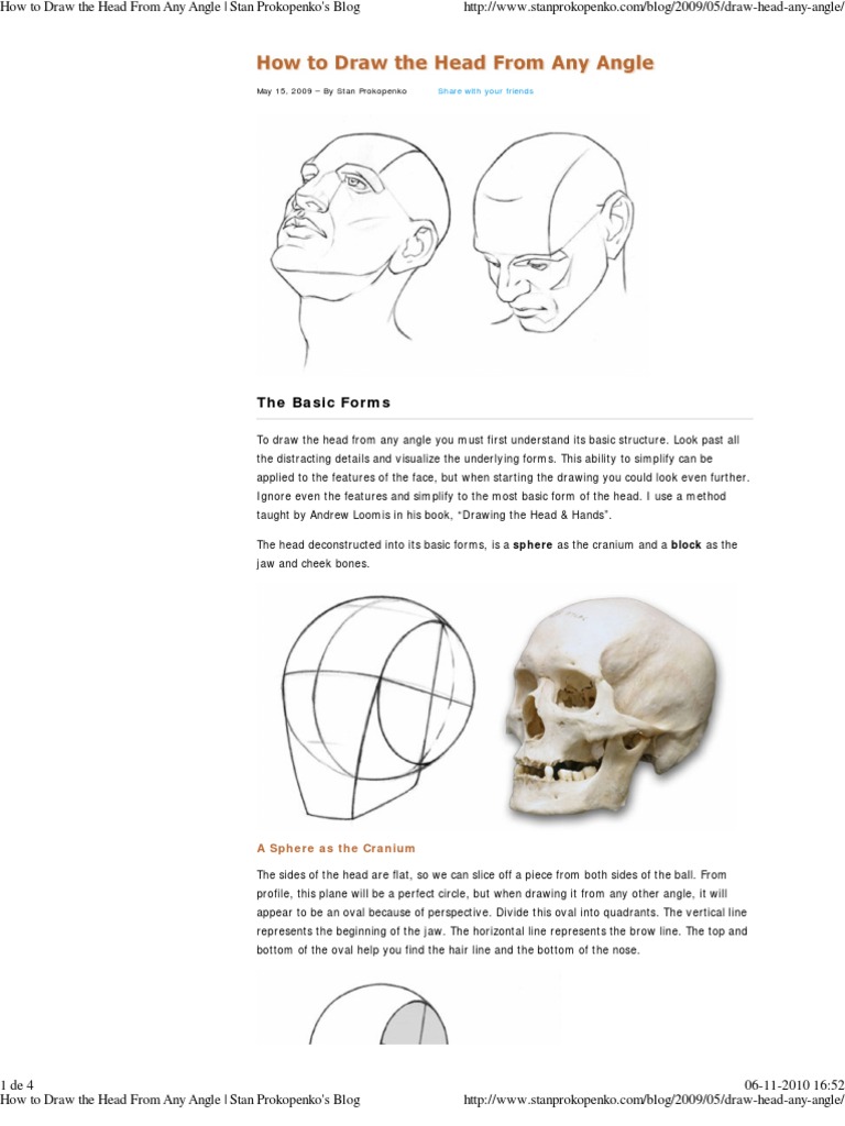 Drawing Heads from Any Angle | PDF | Perspective (Graphical) | Shape