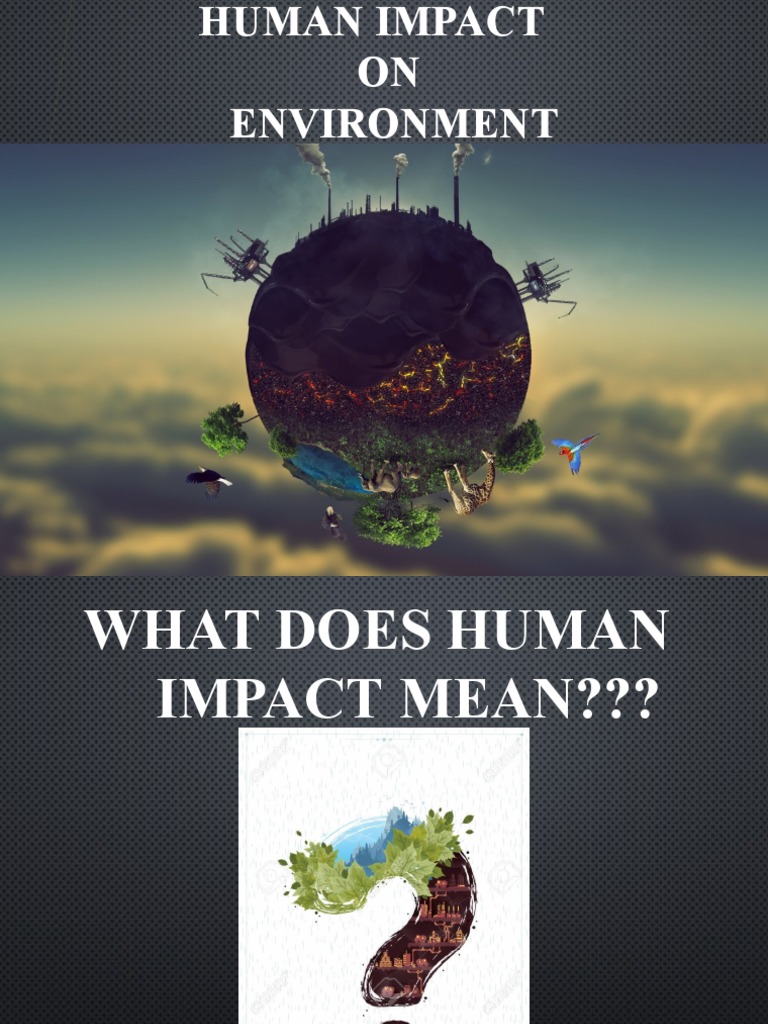 Human Impact on Environment Explained | PDF