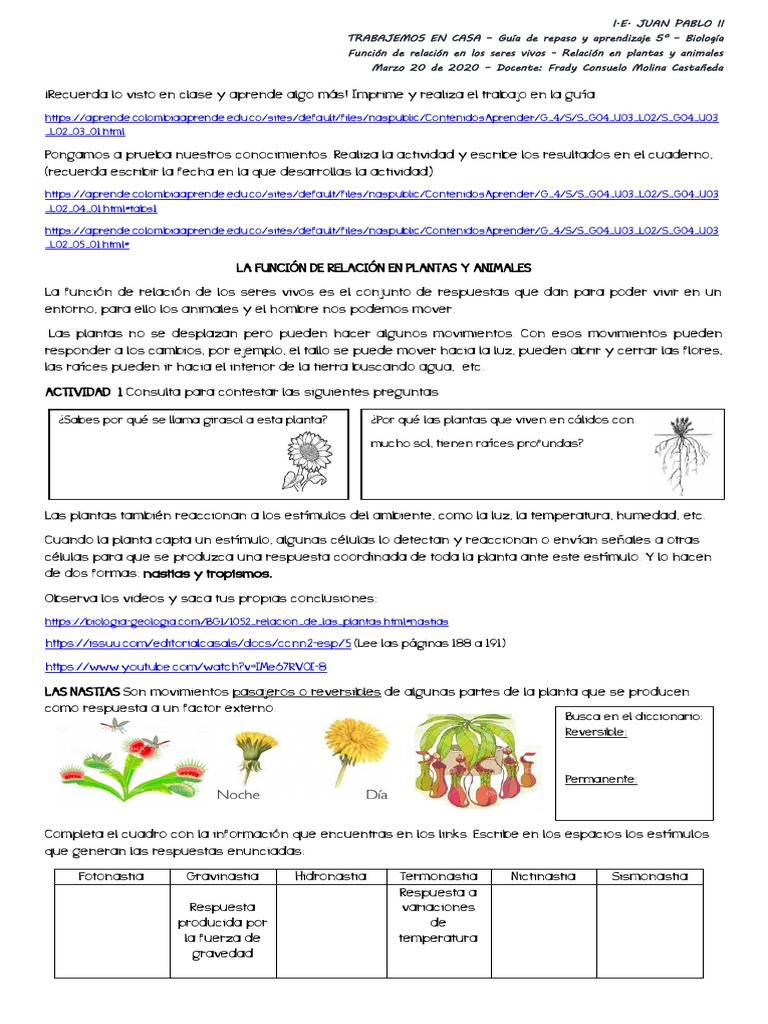 Relacion en Plantas y Animales 5 PDF | PDF | Sistema nervioso | Anatomía