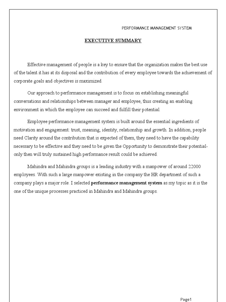 Executive Summary: Performance Management System | PDF | Performance ...