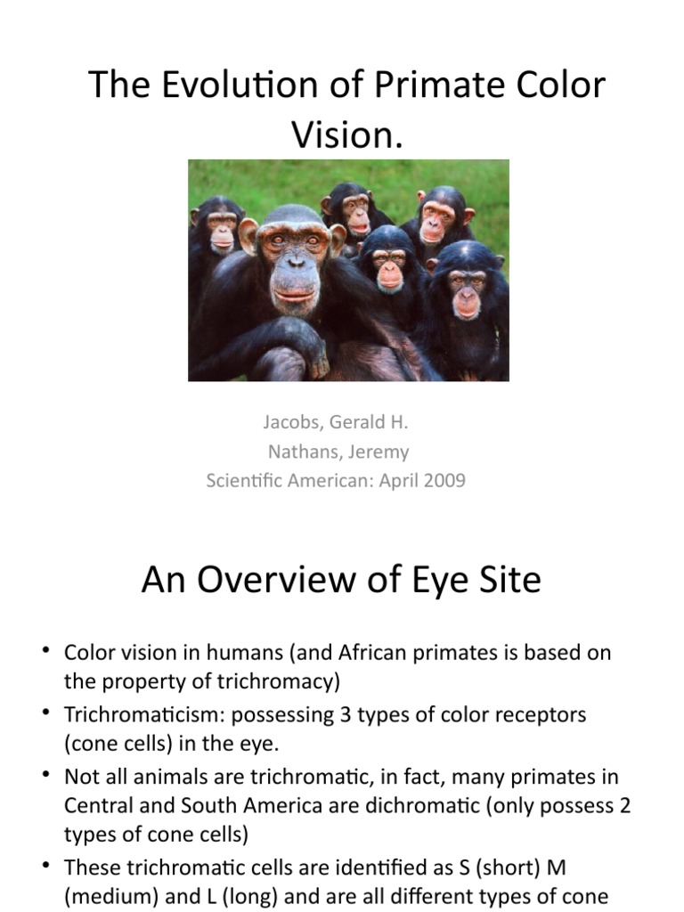 The Evolution of Primate Color Vision | PDF | Color | Vision