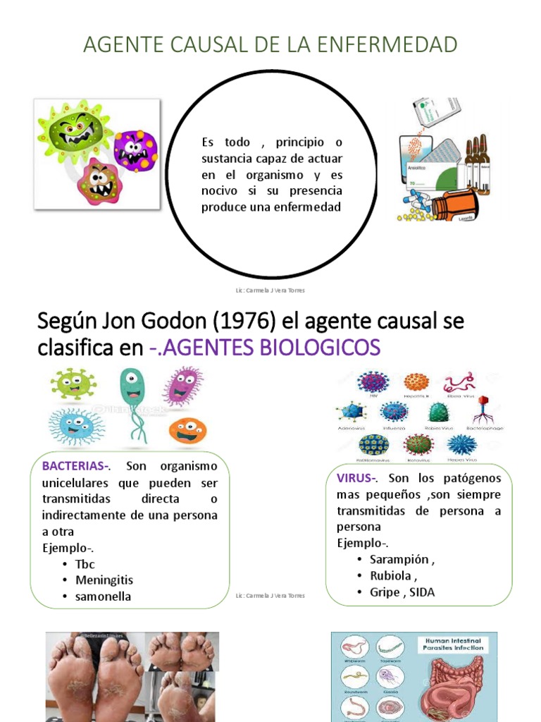 Agente Causal de La Enfermedad Parte Ii | PDF | Parasitismo | Toxicidad