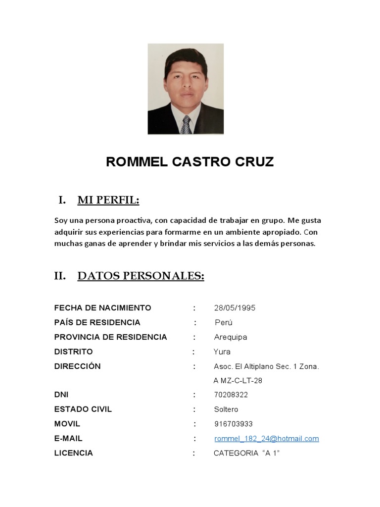 Rommel Castro Cruz - CV 2020 | PDF
