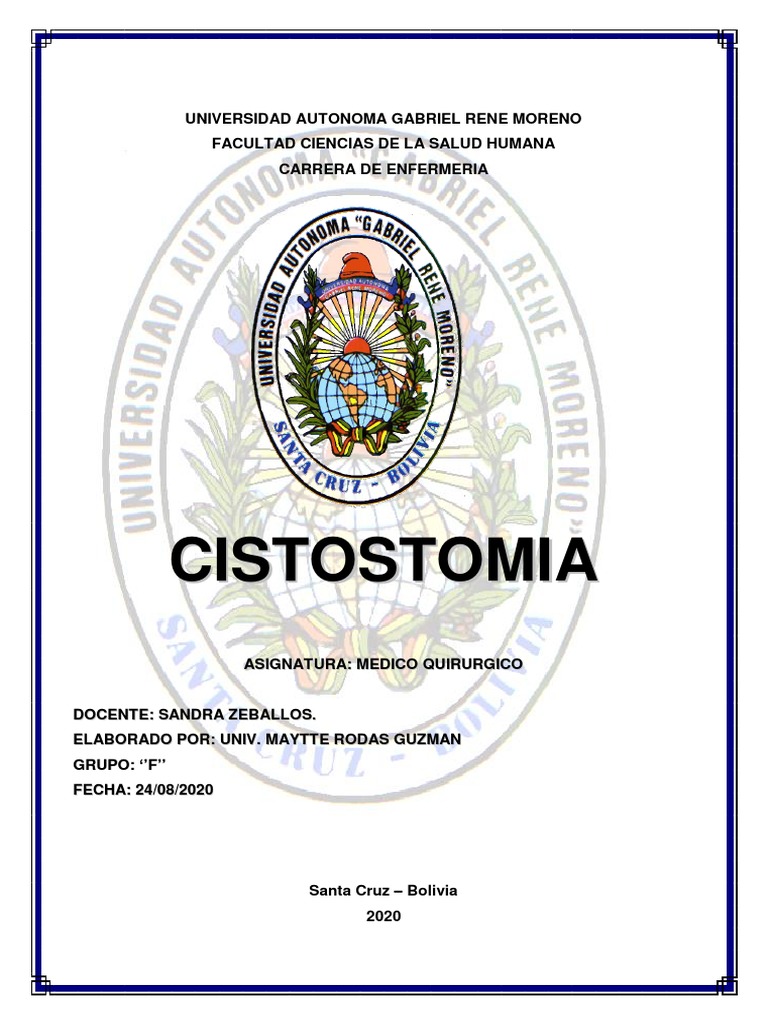 Cistostomia Informe | PDF | Vejiga urinaria | Abdomen