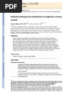 FARINGE y LARINGE - Anatomía II, Veterinaria | PDF | Laringe ...