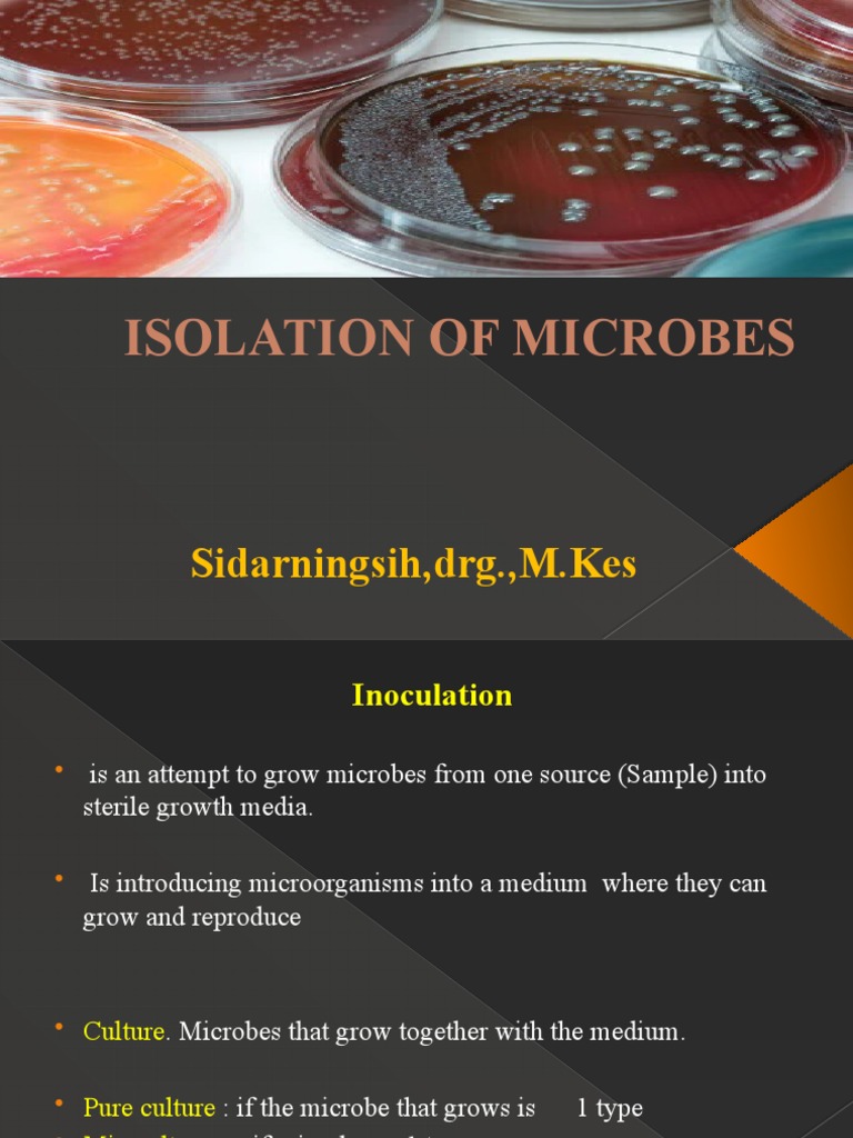 Isolasi Mikroba | Download Free PDF | Growth Medium | Microbiology