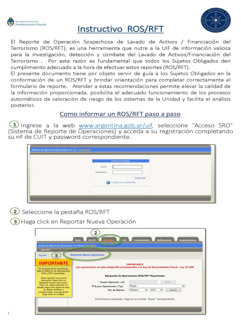 Guía para Reportar ROS/RFT en Argentina | PDF | Información | Cliente