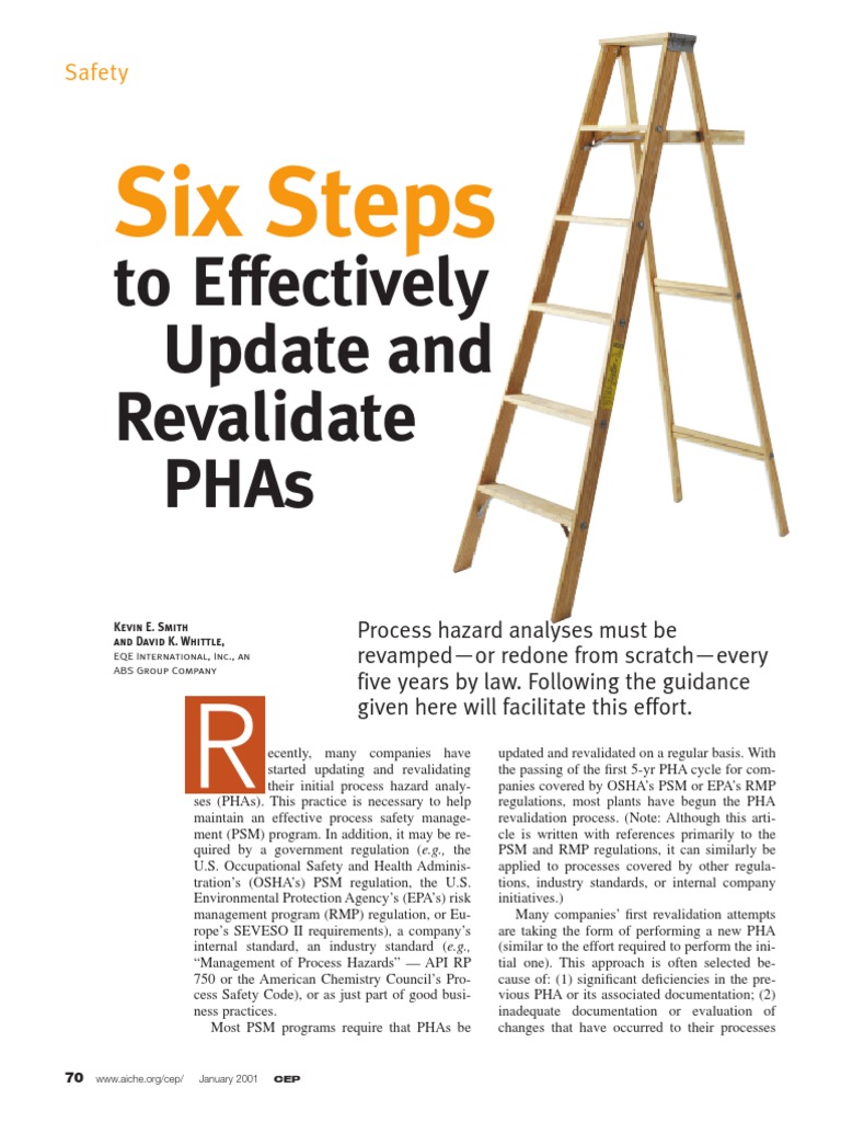 PHA Revalidation: Six Essential Steps | PDF | Audit | Personal ...