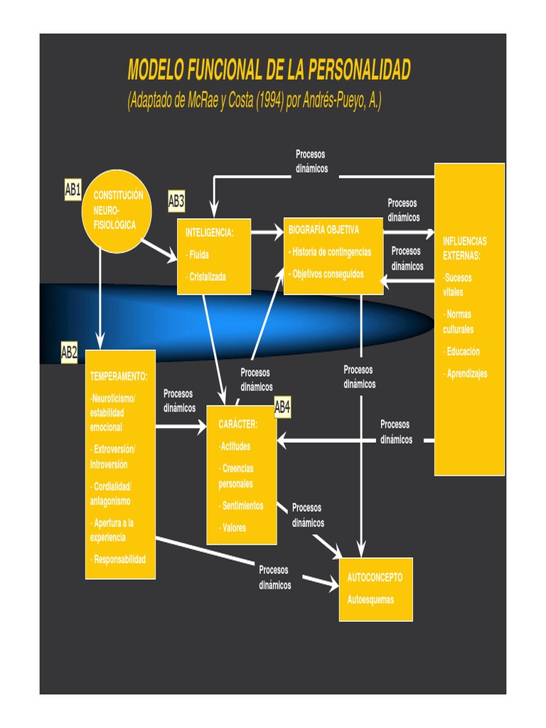 Modelo Funcional de La Personalidad | PDF | Neuropsicología | Aprendizaje