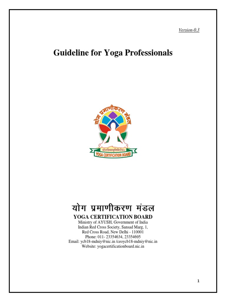 Guideline For YP - Version 0.3 PDF | PDF | Certification | Test ...