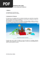 Práctica Uso de IdeaShare Key | PDF