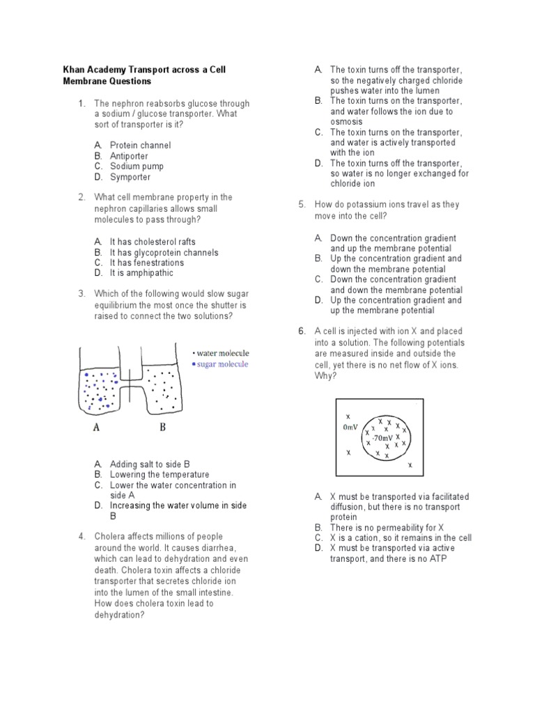 Transport Across A Cell Membrane | PDF | Membrane Potential | Cell Membrane