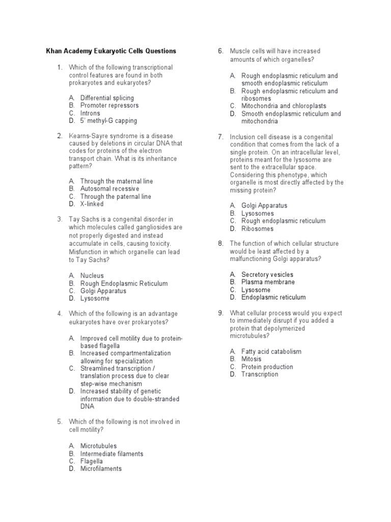 Khan Academy Eukaryotic Cells Questions | PDF | Eukaryotes | Cell (Biology)