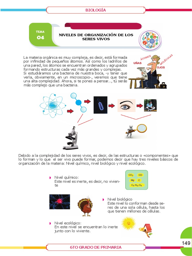 6to Grado Compendio de Ciencias-149-153 PDF | Descargar gratis PDF ...