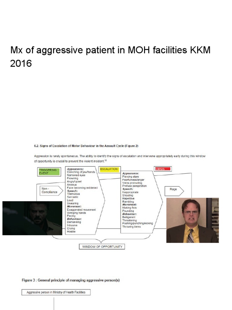 Management of Aggressive Patient in MOH Facilities | PDF | Aggression ...