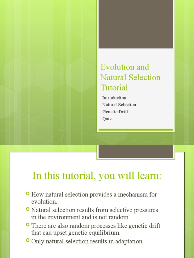 Evolution and Natural Selection Tutorial | PDF | Natural Selection ...