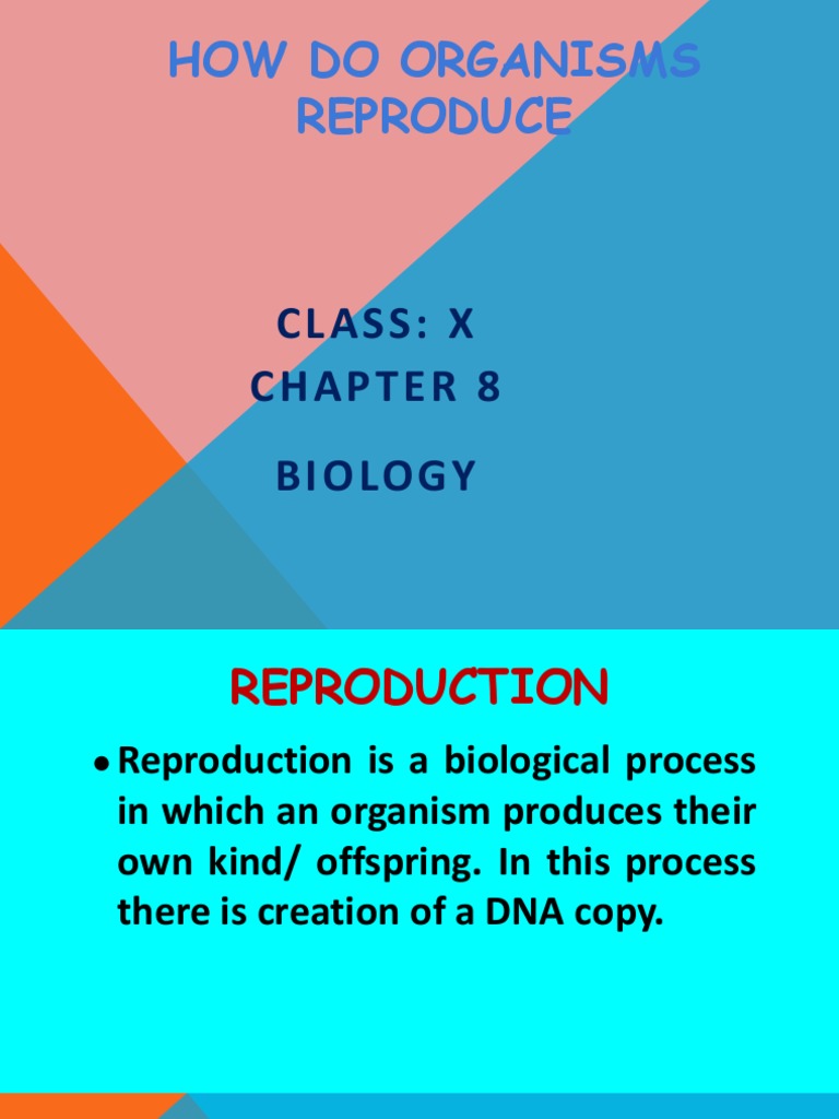 How Do Organisms Reproduce X-1 PDF | PDF | Reproduction | Flowers