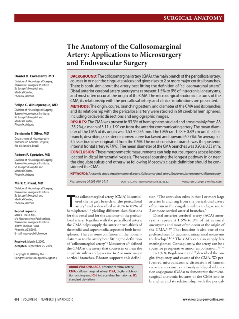 Anatomy of The Callosomarginal Artery Applications To Microsurgery and ...