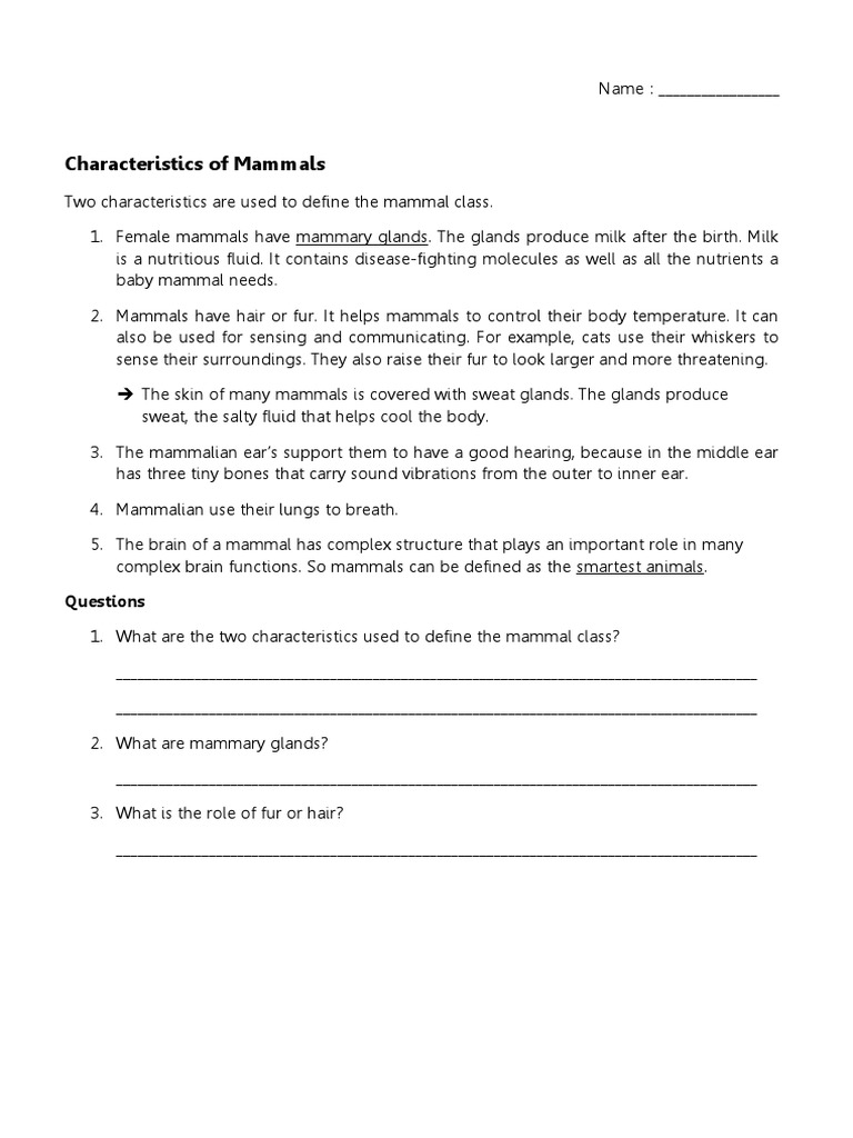 Key Characteristics of Mammals | PDF