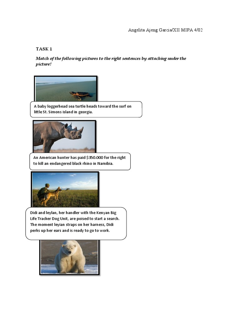 Worksheet Captions | PDF