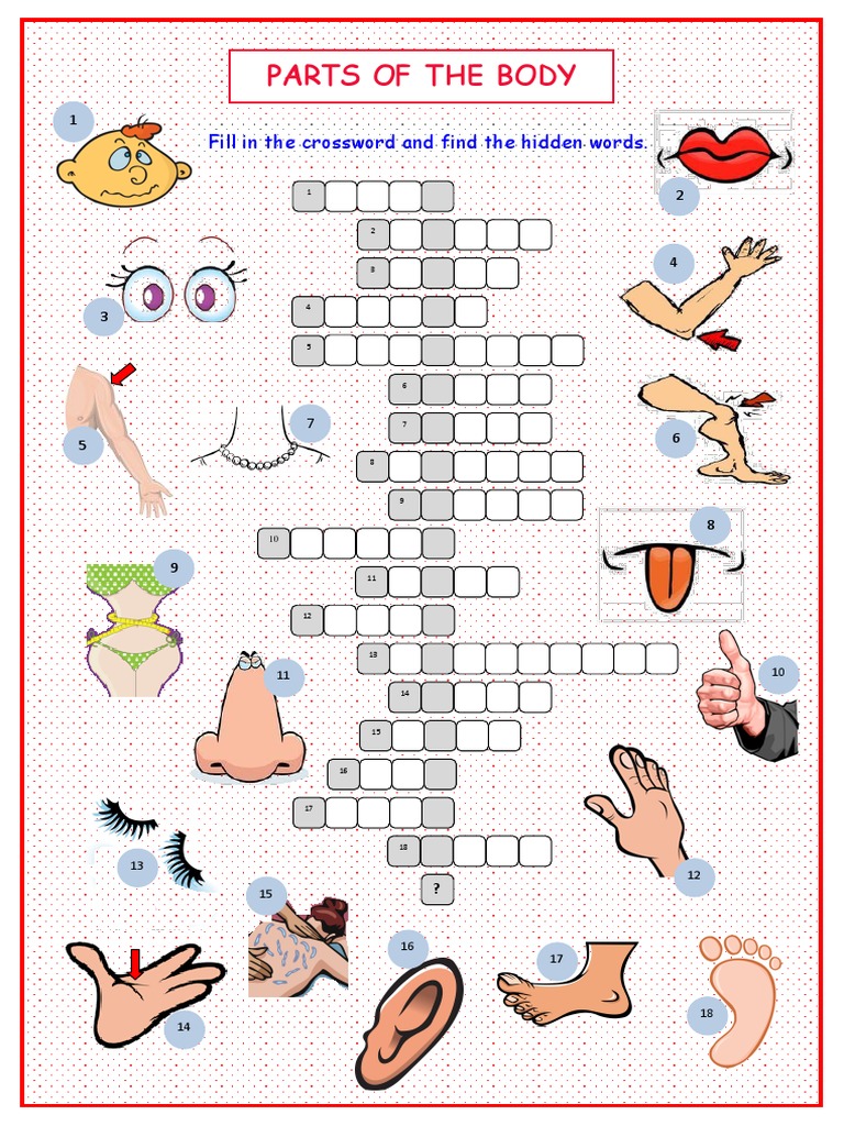 Parts of The Body: Fill in The Crossword and Find The Hidden Words ...