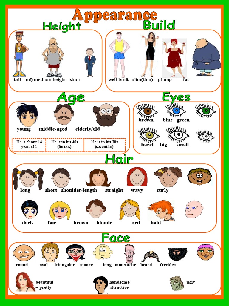 Appearance Pictionary and Excercises | PDF | Facial Features | Hair