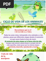 Ficha Ciclo de Vida de Los Animales | PDF