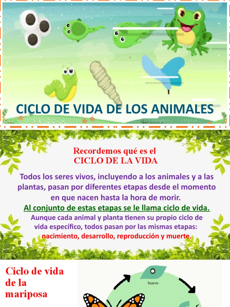 Ciclo de Vida de Los Animales | PDF