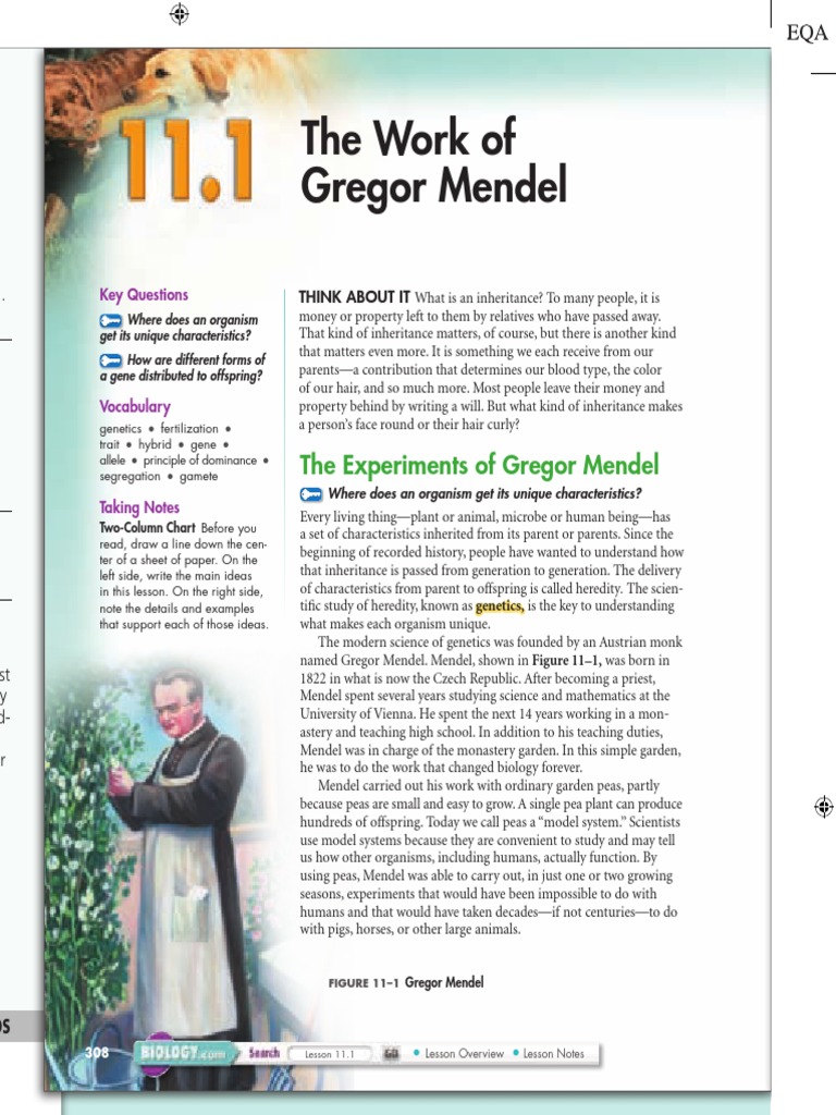 The Work of Gregor Mendel: Getting Started | PDF | Dominance (Genetics ...
