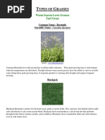 GRass N | PDF | Plants | Botany
