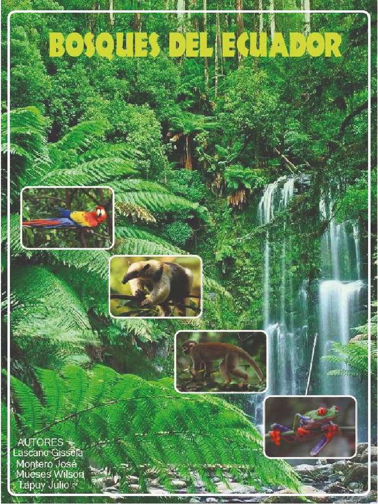 Libro Bosques Del Ecuador | PDF | Gases de efecto invernadero ...