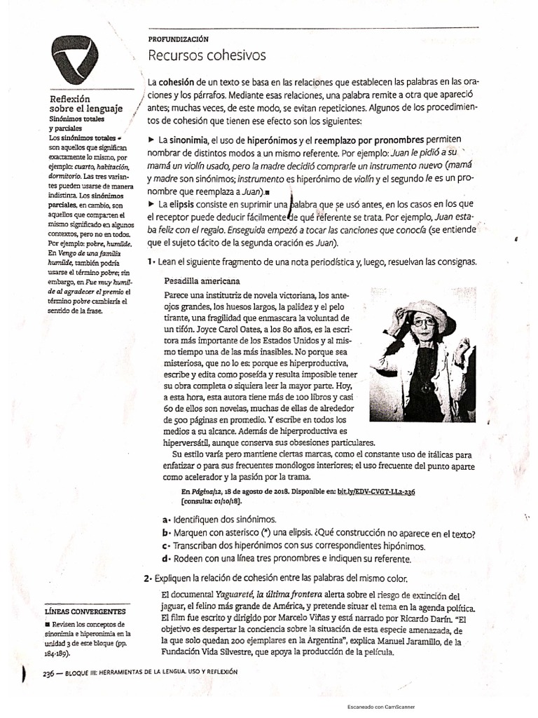 Recursos Cohesivos | PDF