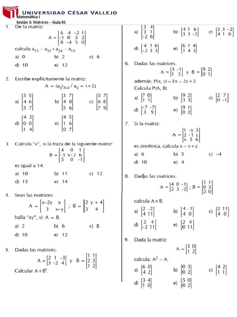 S4 GUIA 01-Matrices | PDF