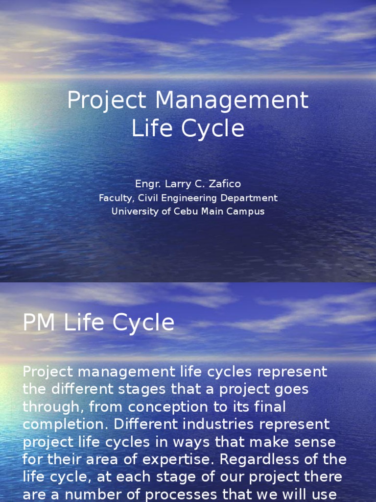 PM Life Cycle PDF | PDF