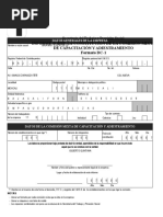 Formato DC-2 - Ejemplo Llenado | PDF | Empresas | Business