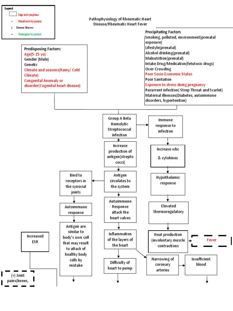 Pathophysiology of Rheumatic Heart Disease | PDF | Heart ...