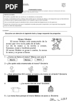 Prueba de Diagnostico de Lenguaje Primero Basico | PDF | Lingüística