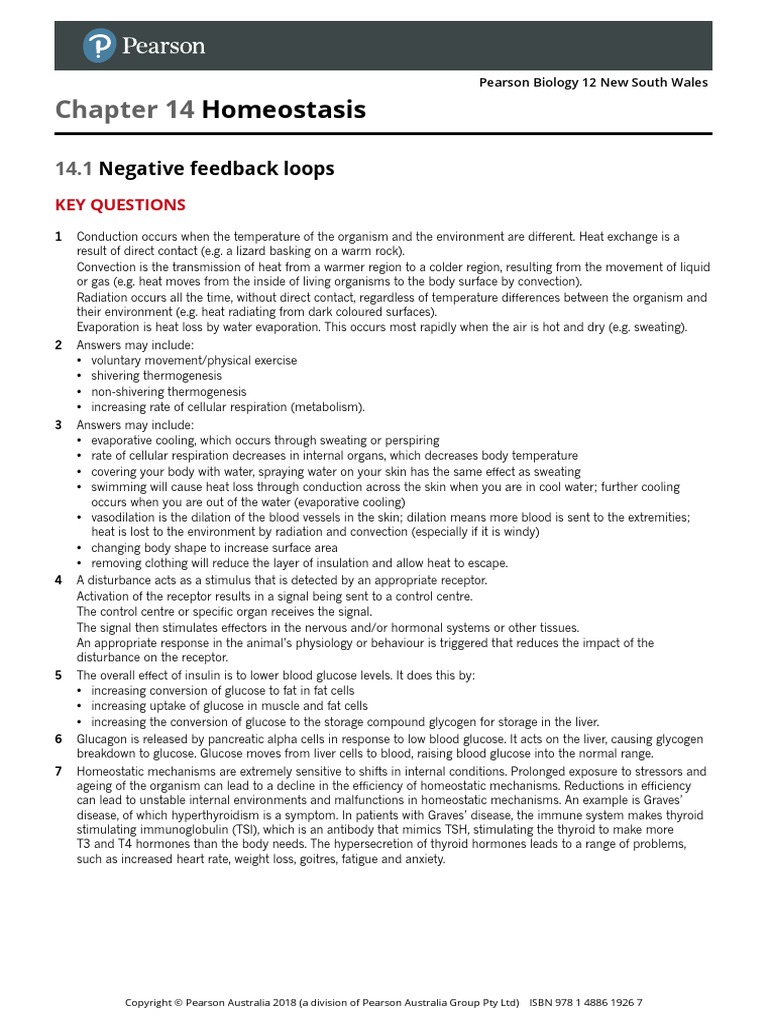 Homeostasis: Negative Feedback Loops | PDF | Nervous System | Neuron