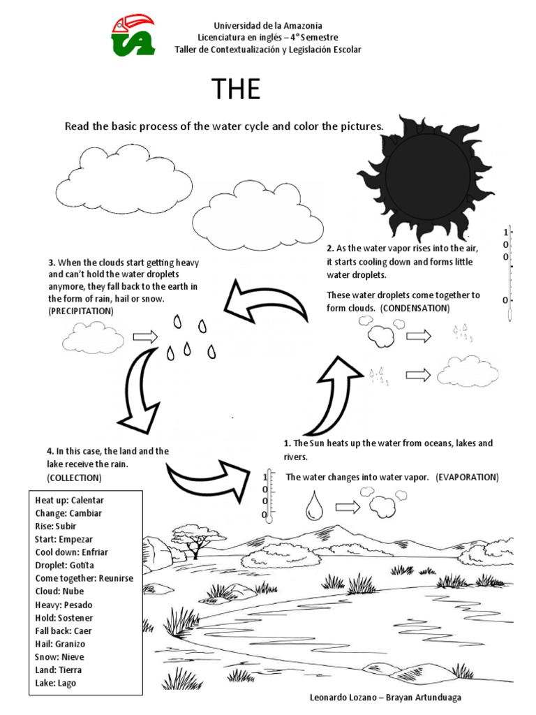THE Water: Read The Basic Process of The Water Cycle and Color The ...