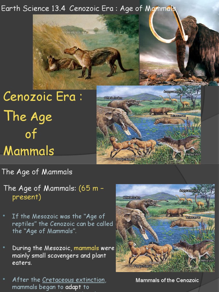 Cenozoic Era | PDF | Quaternary | Ice Age