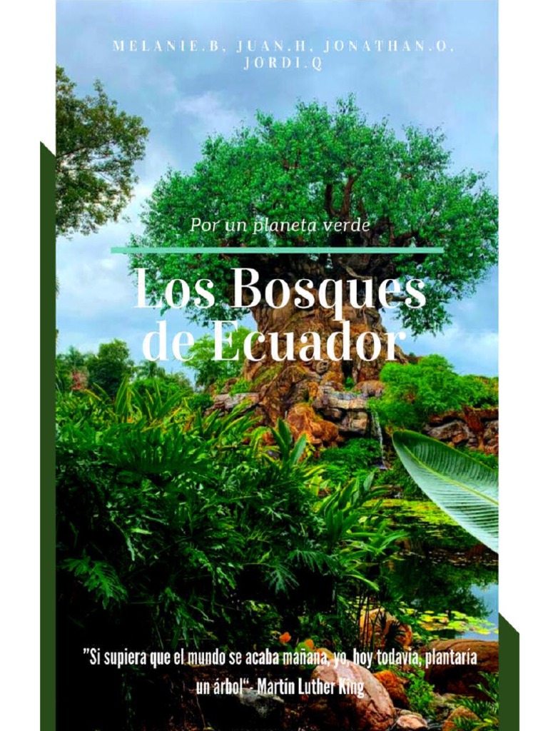 Libro - Los Bosques Del Ecuador | PDF | Los bosques | Deforestación
