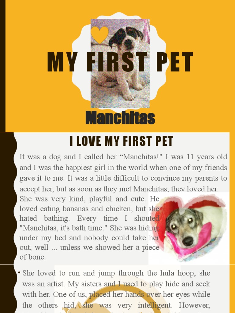 My First Pet | PDF