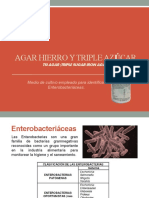 Medio SIM | PDF | Medio de crecimiento | Esterilización (Microbiología)