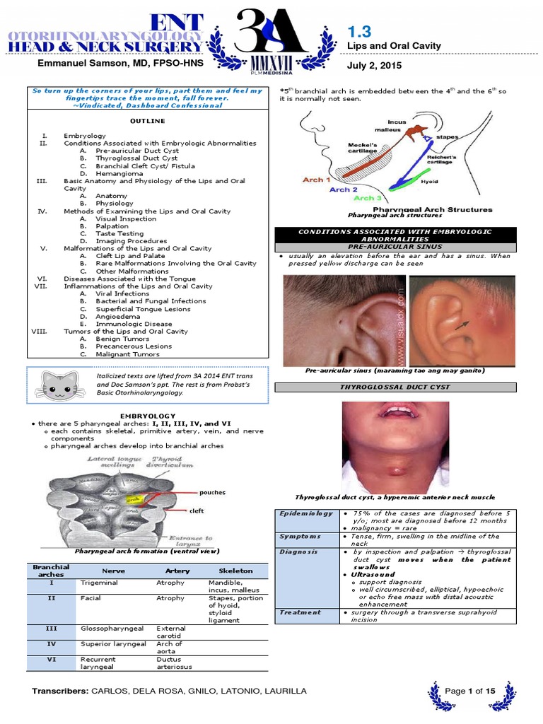 ENT 1.3 Lips and Oral Cavity | PDF | Tongue | Face