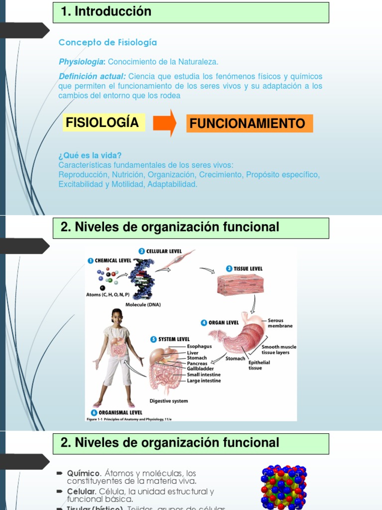 Concepto de Fisiologia | PDF