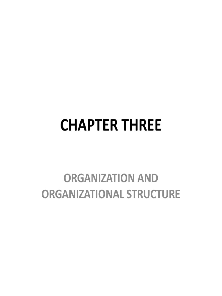 Chapter Three: Organization and Organizational Structure | PDF | System ...