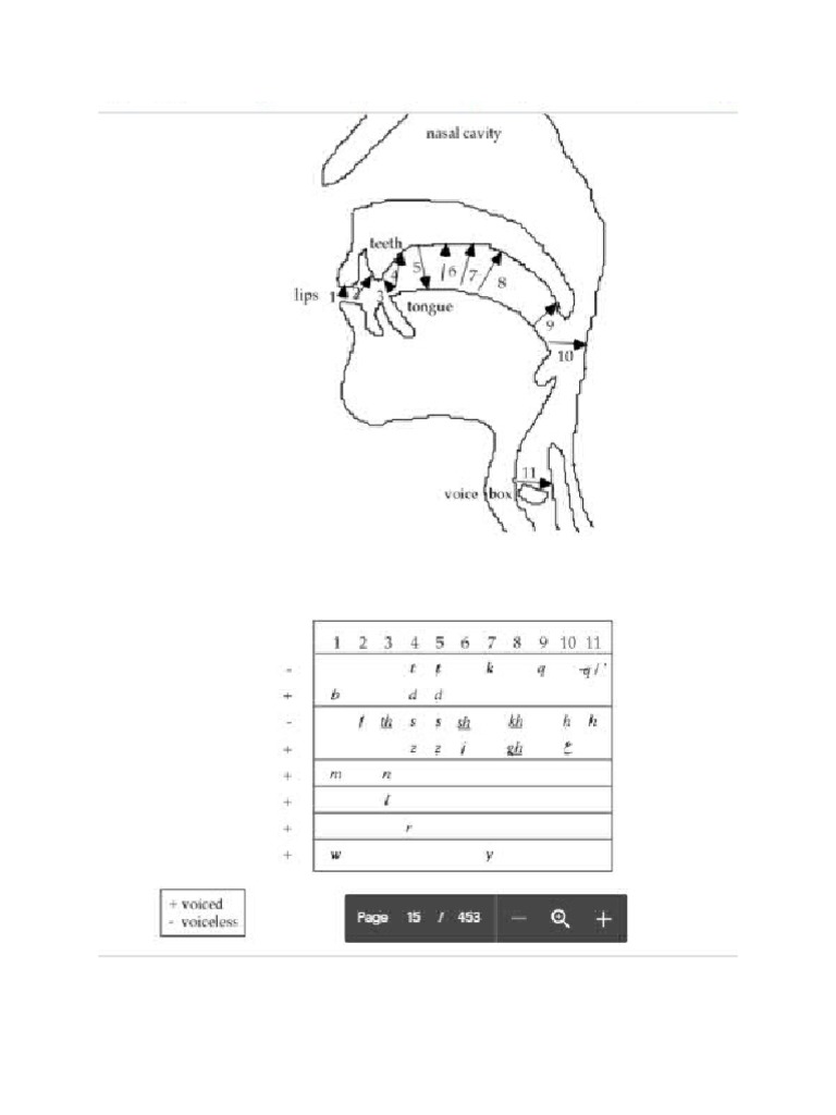 Mouth Map | PDF