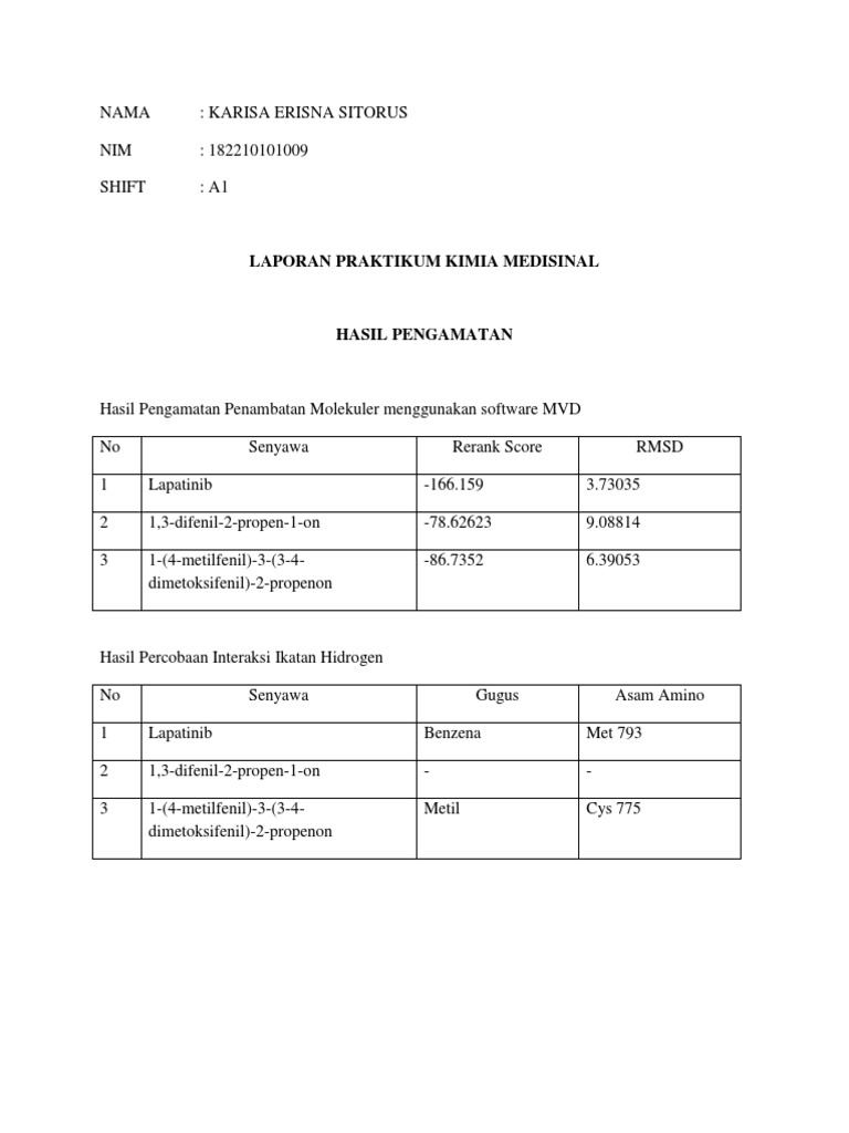 Hasil Dan Laporan Molecular Docking Karisa 18-009 PDF | PDF