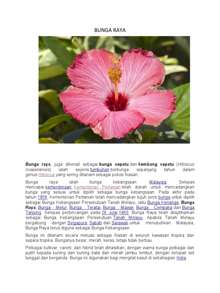 Bunga Raya | PDF
